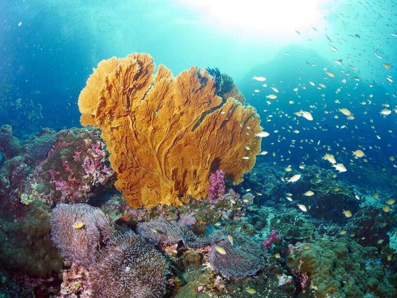 Ko Lanta: Amazing 4-Islands Snorkeling Day Trip w/ Lunch - What’s Included and What to Budget for