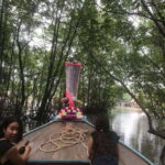 Ko Lanta: EXPLORE MANGROVE TOUR BY LONGTAIL BOAT WITH LUNCH - An In-Depth Look at the Mangrove Exploration