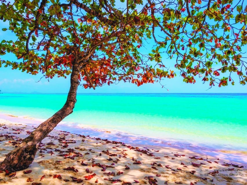 Ko Lanta: Koh Rok & Koh Haa Snorkelling Tour by Speedboat - Who Will Love This Tour?