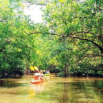 Ko Lanta: Mangrove Kayaking with Lunch and Hotel Transfer - The Sum Up: Is It Worth It?