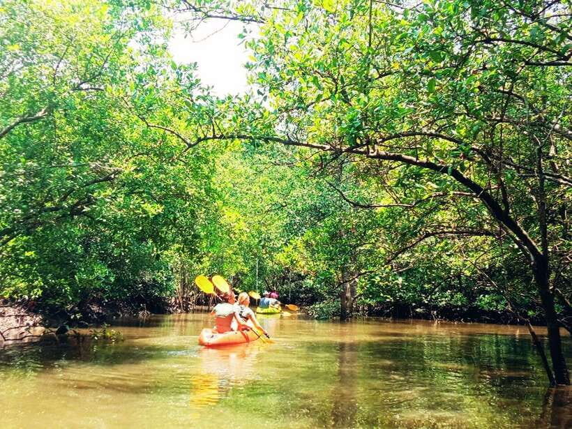 Ko Lanta: Mangrove Kayaking with Lunch and Hotel Transfer - The Sum Up: Is It Worth It?