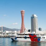 Kobe private tour from Osaka (Shore excursion available from Osaka or Kobe port) - Practical Details & Considerations
