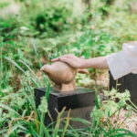 Kobe: Rokko Forest Sound Museum Admission Ticket - What to Expect During Your Visit