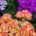 Kobe Supportive Custom Shore Excursion - Detailed Breakdown of the Itinerary