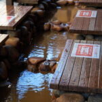 Kobe's Harmony: Mountains, Sea, and the Serenity of Arima Onsen - Experience Details: What to Expect