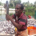 Kochi Overall Private & Group Tours: Customizable: Pick and Drop. - Who Should Book This Tour?