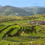 Kodaikanal Sightseeing Tour Package 3 Days & 2 Night - What This Tour Means for You