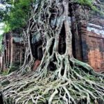 Koh Ker and Boeng Mealea Jungle Explorer - Who is This Tour Best For?