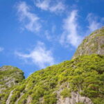 Koh Phi Phi: One Day Tour by Longtail Boat with Sunset - A Closer Look at the Itinerary