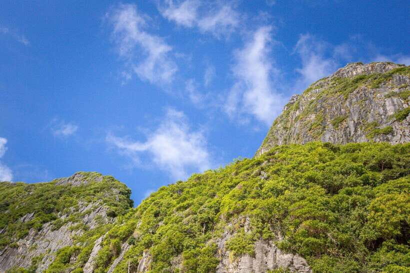 Koh Phi Phi: One Day Tour by Longtail Boat with Sunset - A Closer Look at the Itinerary