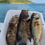 Koh Rong Fishing & Snorkeling tour (Private) - Transportation, Duration, and Logistics
