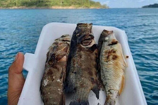 Koh Rong Fishing & Snorkeling tour (Private) - Transportation, Duration, and Logistics