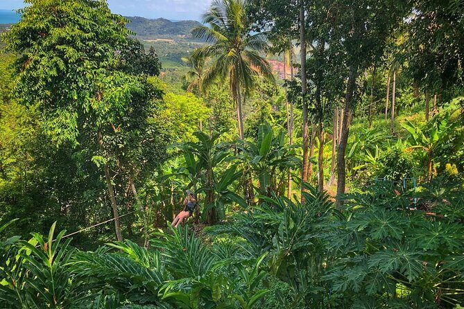 Koh Samui 4WD Jeep Safari Small Group Tour with Lunch - Final Thoughts: Is the Koh Samui Jeep Safari for You?