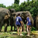 Koh Samui: 4x4 Sightseeing Safari & Elephant Sanctuary Tour - Practical Tips and What to Expect