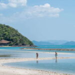Koh Samui: Island Hopping Adventure in Coral and Pig Island - The Itinerary Breakdown