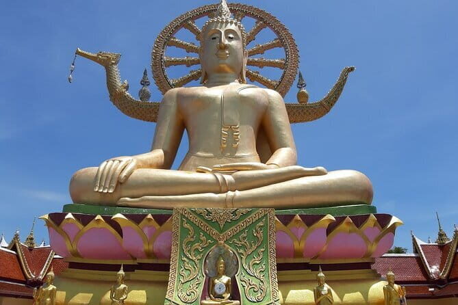 Koh Samui Jungle Discovery Tour with Hotel Transfers - In-Depth Look at What the Tour Offers