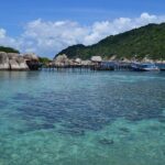 Koh Tao and Koh Nang Yuan Snorkeling Trip By Speedboat From Koh Samui - The Pros and Cons
