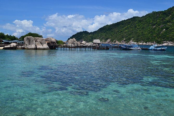 Koh Tao and Koh Nang Yuan Snorkeling Trip By Speedboat From Koh Samui - The Pros and Cons