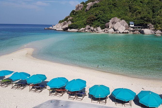 Koh Tao and Koh Nangyuan Premium Trip By Speedboat From Koh Samui - The Value for Money