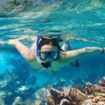 Koh Tao and Koh Nangyuan Snorkeling Tour by Speedboat from Ko Samui - Analyzing the Experience: Pros and Cons
