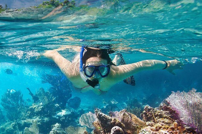 Koh Tao and Koh Nangyuan Snorkeling Tour by Speedboat from Ko Samui - Analyzing the Experience: Pros and Cons