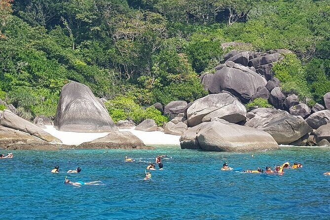 Koh Tao & Koh Nang Yuan Snorkeling Tour by Speed Boat from Samui - What the Reviews Reveal