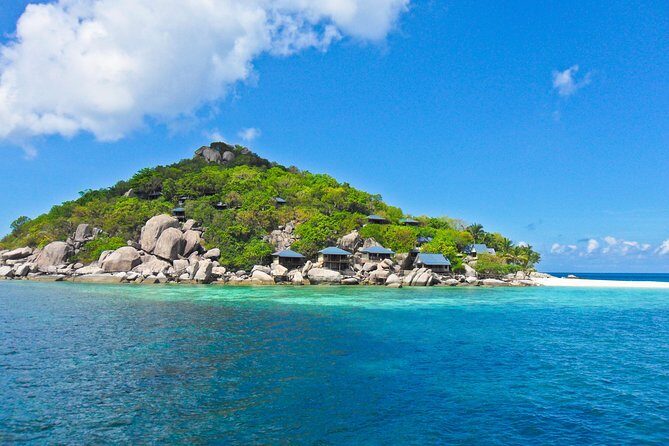 Koh Tao & Koh Nangyuan by Speed Boat (Snorkeling trip from Koh Samui) - What the Reviews Say