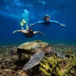 Koh Tao Snorkeling and Island Hopping Tour (Private) - Practical Tips for Travelers