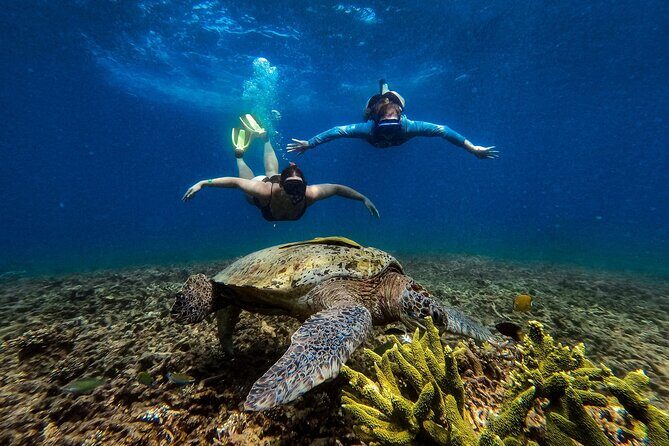 Koh Tao Snorkeling and Island Hopping Tour (Private) - Practical Tips for Travelers