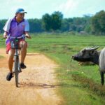 Koh Yao Noi Full Day Tour with Bike Ride & Lunch - The Details of the Itinerary