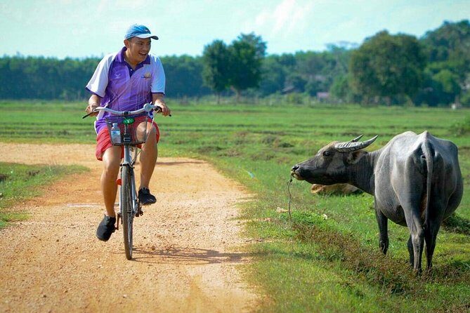Koh Yao Noi Full Day Tour with Bike Ride & Lunch - The Details of the Itinerary