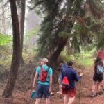 Kona Cloud Forest and Coffee Tour with Sea Turtle Beach Visit - Pricing and Value