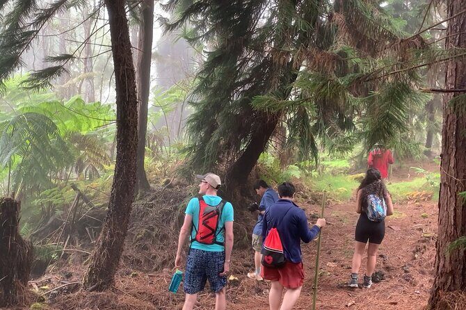 Kona Cloud Forest and Coffee Tour with Sea Turtle Beach Visit - Pricing and Value