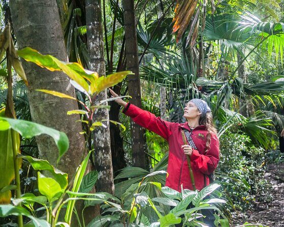 Kona Cloud Forest Sanctuary Pantropical Tour (1.5 hrs) - What to Expect on the Tour