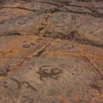 Kona Port: Private History & Farmer's Market Excursion - What Does This Tour Mean for You?