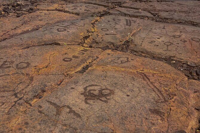 Kona Port: Private History & Farmer's Market Excursion - What Does This Tour Mean for You?