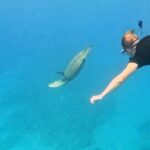 Kona Snorkeling Adventure Open Charter - Authentic Experiences and Review Highlights