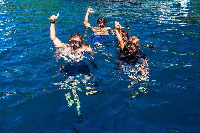 Kona Snorkeling Gear Rental Dive Into Adventure - Real Travelers’ Insights