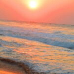 Konark and Chilika Lake: A Private Day Tour from Bhubaneshwar - Practical Details and Value