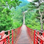 Korea DMZ Tour with Gloster Memorial & Heroes Suspension Bridge - The Sum Up