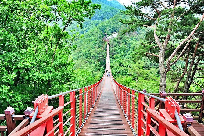 Korea DMZ Tour with Gloster Memorial & Heroes Suspension Bridge - The Sum Up