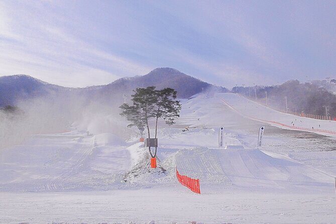Korea Ski Tour from Seoul - Jisan Forest Resort - The Practicalities: What’s Included and What’s Not