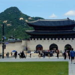 Korean barbecue & Seoul's night life experience - Breaking Down the Experience: What You Can Expect