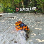 Kota Kinabalu: Twin Island Day Trip Tour ( Sapi & Manukan ) - What Travelers Can Expect: Pros and Cons