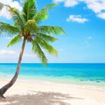 Krabi 4 Islands Day Trip - Authenticity and Traveler Feedback