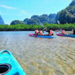 Krabi: A Kayaking Odyssey through Din Daeng Mangrove Maze - The Experience in Detail
