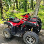Krabi : ATV Jungle adventure with round trip transfer - The Itinerary in Detail