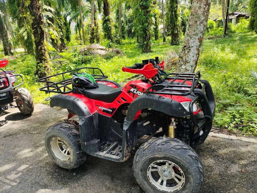 Krabi : ATV Jungle adventure with round trip transfer - The Itinerary in Detail