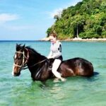 Krabi Beach Horse Riding Experience with Hotel Transfers - Key Points