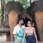 Krabi: Elephant Feeding Program - What Makes This Tour Stand Out